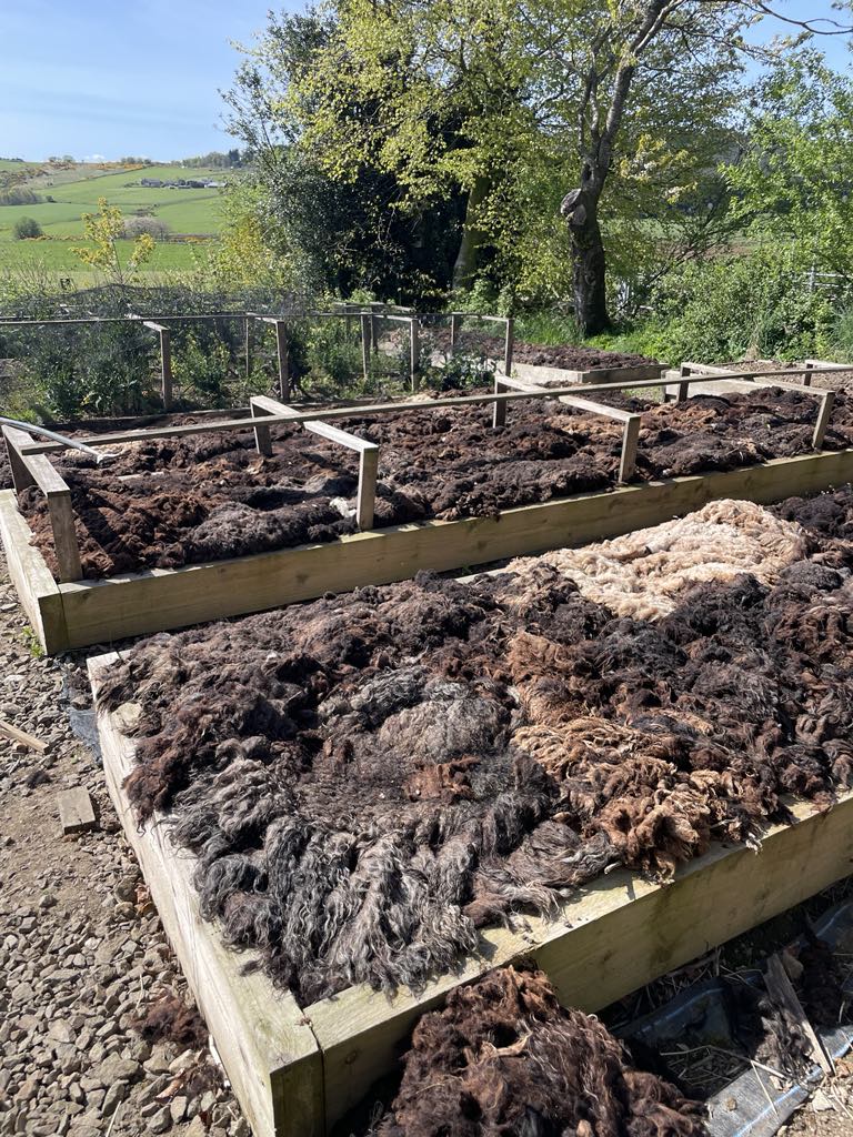 Wark Farm